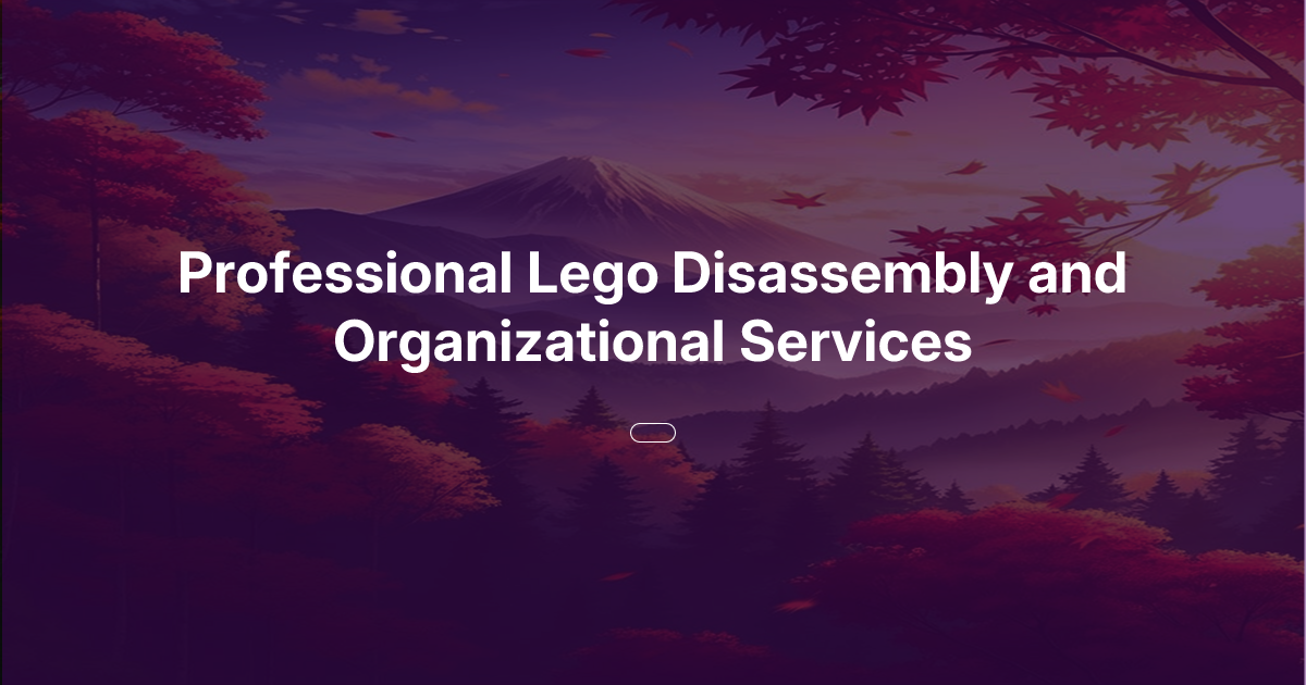 Professional Lego Disassembly and Organizational Services | Oasis of Ideas